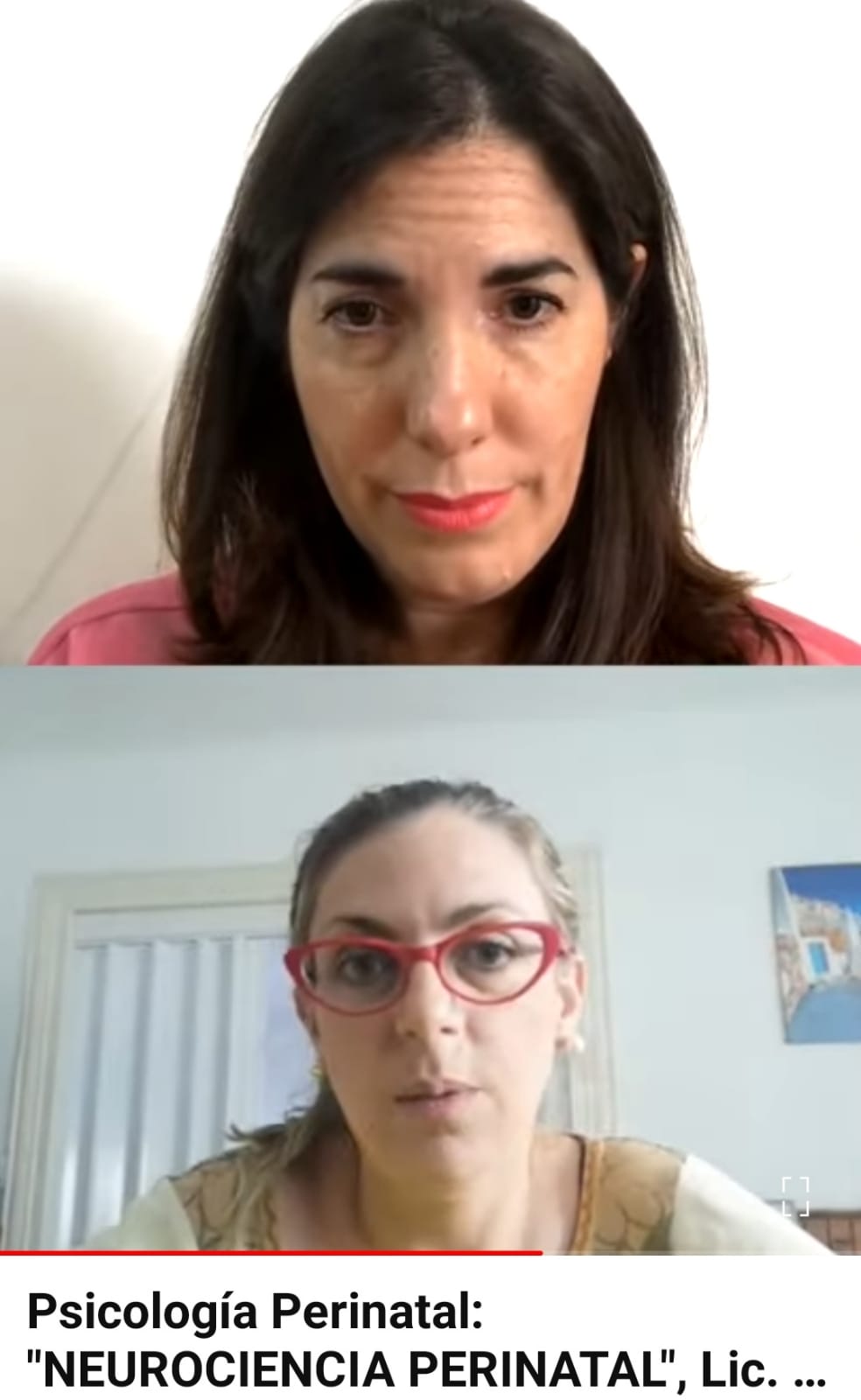 Intercambio sobre Neurociencia y Psicologia Perinatal.